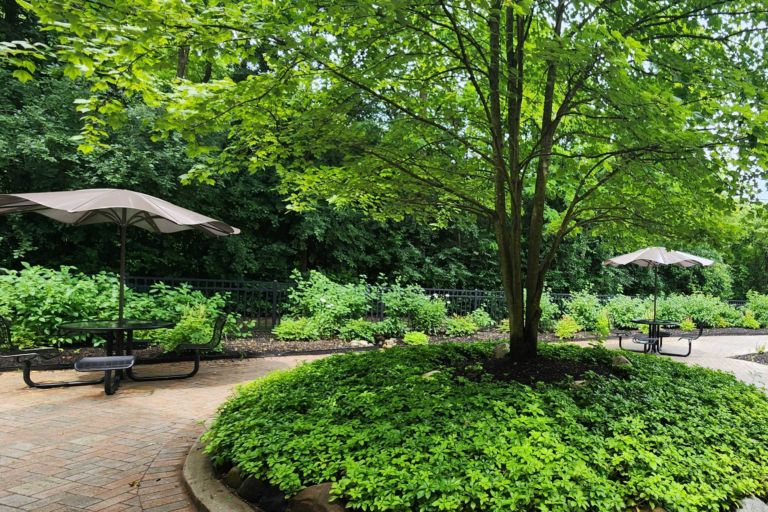 Main Branch - West Bloomfield Township Public Library